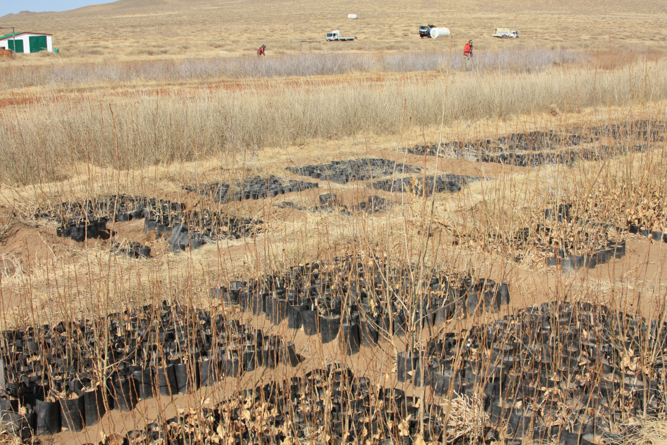 International Workshop on Combating Desertification and Land ...