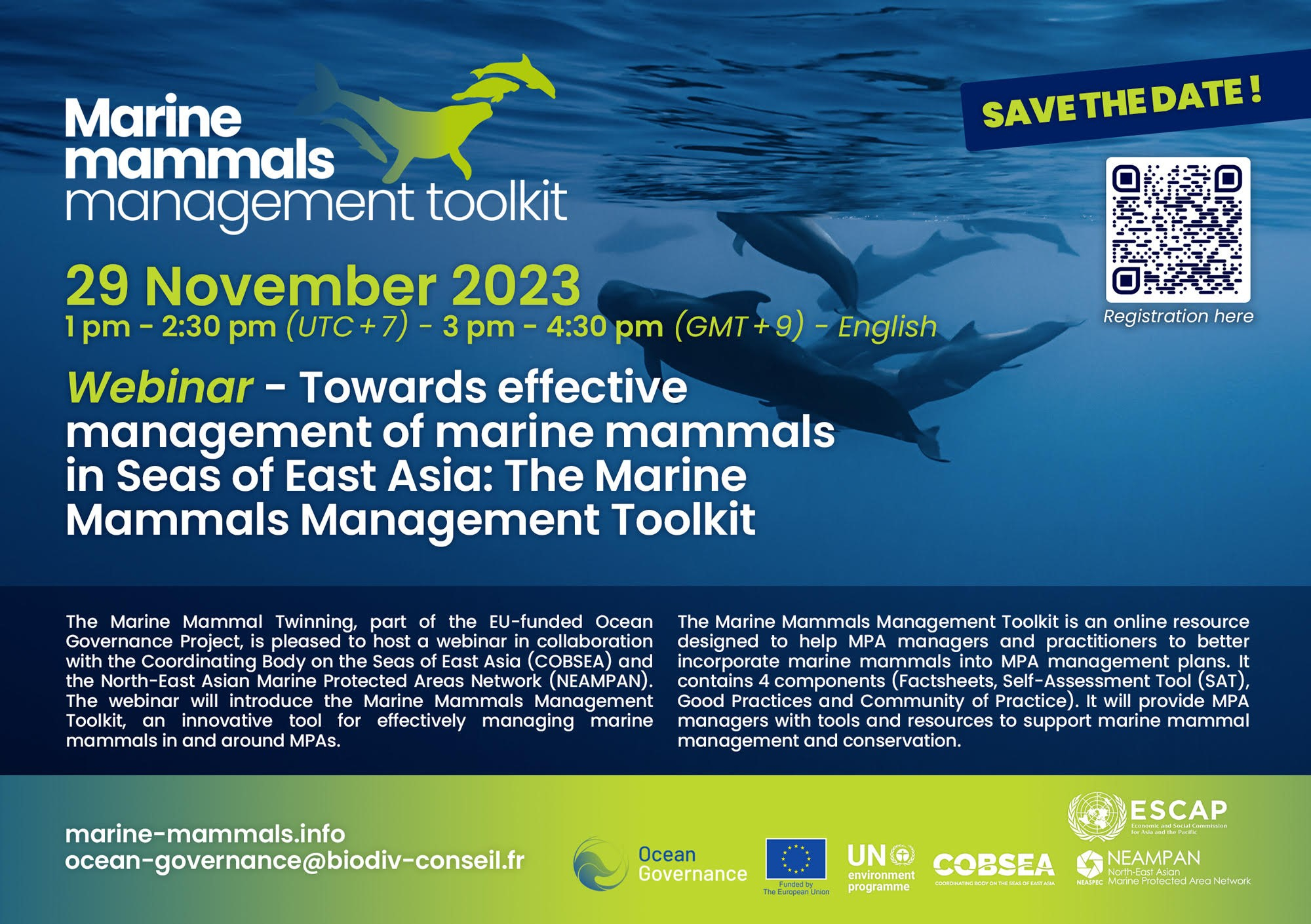 [WEBINAR] Towards effective management of marine mammals in the East ...